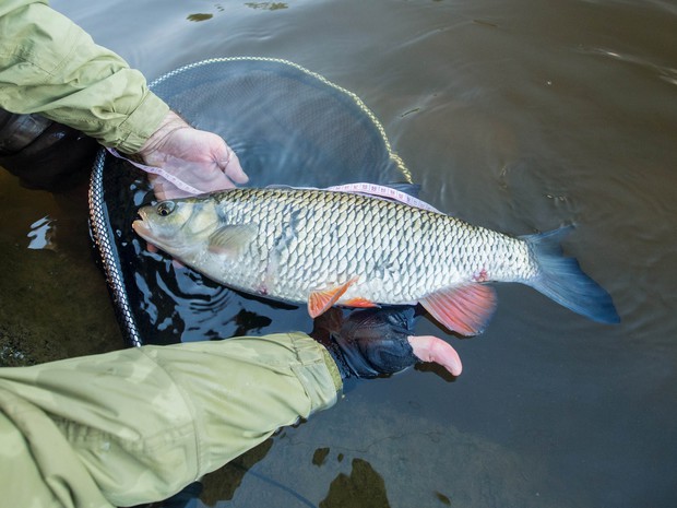 Vantaanjoen ja Helsingin seudun vesiensuojeluyhdistys ry